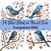 16 Birds Sweet Boho Illustrated Clipart Bundle, Transparent PNG ...