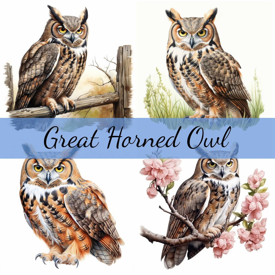 14 Great Horned Owl Clipart Bundle, High-quality JPG, Craft Art, Card ...