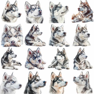 Cute Husky Clipart Bundle, 16 High-quality JPG, Craft Art, Card Making ...