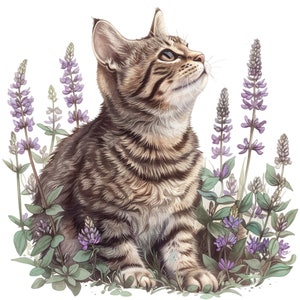 Cat in Purple Catmint Flowers Clipart Bundle, 16 High-quality JPG ...
