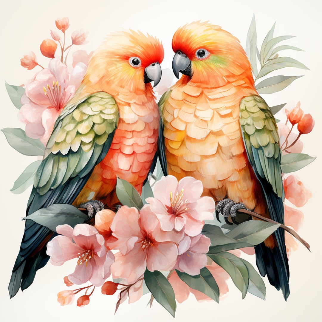 15 Parrot Bird Friends Clipart Bundle, High-quality JPG, Nursery Art ...