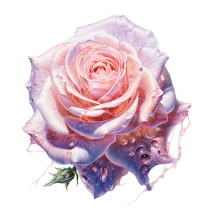 Singe Cosmic Rose Flower Clipart Bundle, High-quality JPG, Craft Art ...