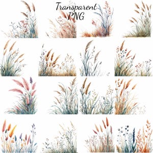 16 Boho Grass Reeds Border Frame Corner Clipart Bundle 16 Transparent ...