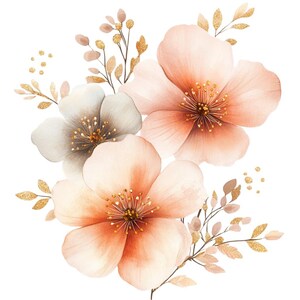 Peach and Gold Flowers Clipart Bundle, 16 JPG and Transparent PNG ...