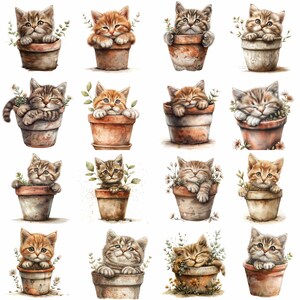 Cute Cat in a Flower Pot Clipart Bundle, 16 High-quality JPG, Craft Art ...