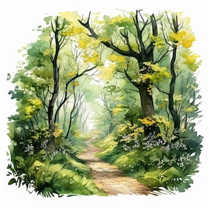 16 Spring Path in Woods Landscape Clipart Bundle, High-quality JPG ...