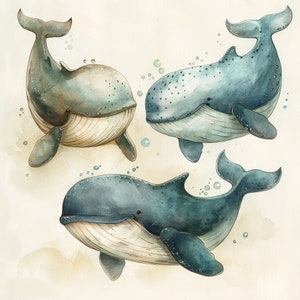 16 Whale Party Clipart Bundle, 16 High-quality JPG, Craft Art, Card ...