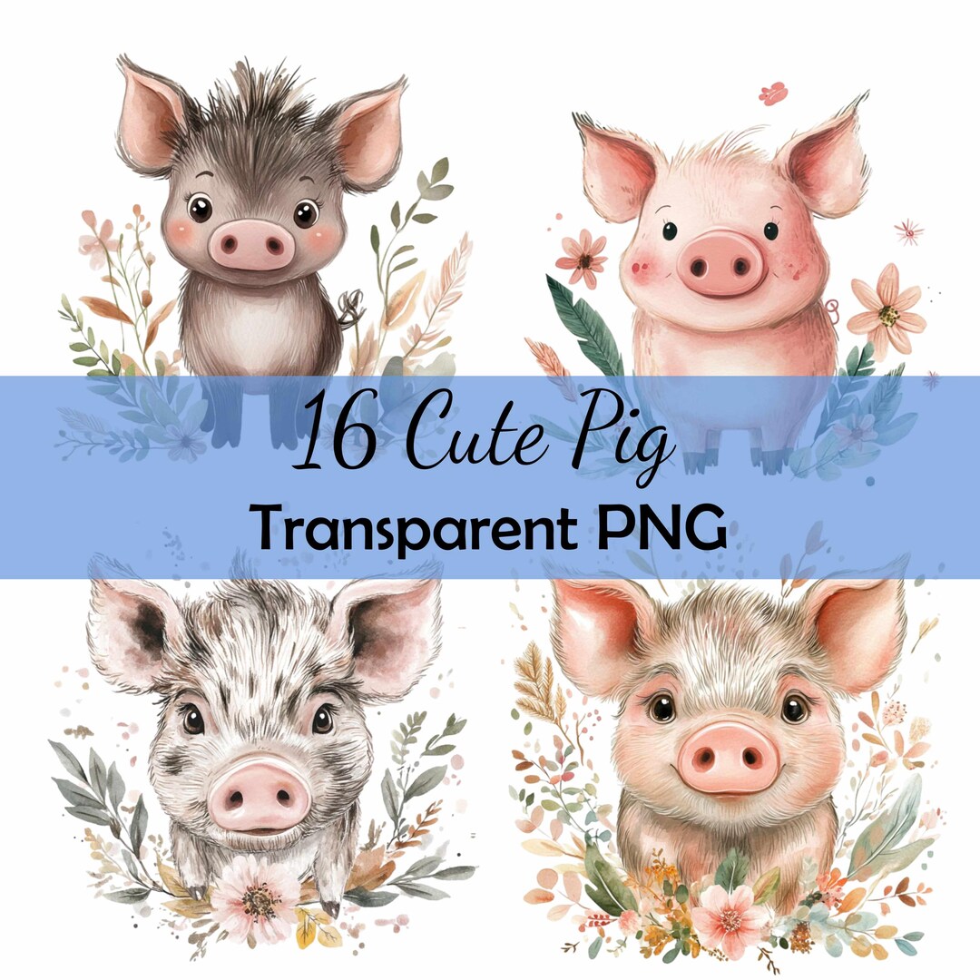 16 Cute Wild Boar Pig Boho Illustration Clipart Bundle, Transparent PNG ...