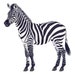 Safari Zebra Clipart Bundle, 15 High-quality JPG, Craft Art, Card ...