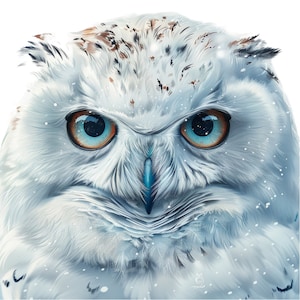 Snow Owl Clipart Bundle,12 High-quality JPG, Craft Art, Card Making ...