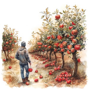 Apple Orchard Picking Clipart Bundle, 12 High-quality JPG, Craft Art ...