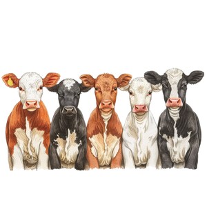 Cute Cows in A Line Clipart Bundle, 16 High-quality JPG, Craft Art ...