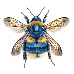 Bee Blue and Gold and Fuzzy Clipart Bundle, 16 High-quality JPG, Craft ...