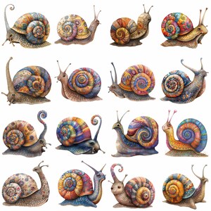 Snail Folk Art Clipart Bundle, 16 High-quality JPG, Craft Art, Card ...