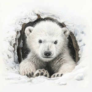 Polar Bear in Snow Den Clipart Bundle, 16 High-quality JPG, Craft Art ...