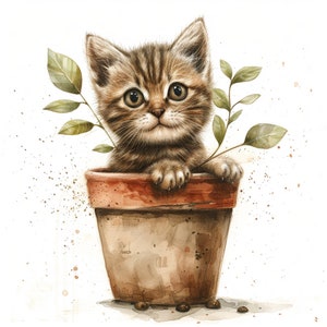 Cute Cat in a Flower Pot Clipart Bundle, 16 High-quality JPG, Craft Art ...