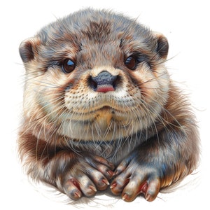 Playful Otter Clipart Bundle, 15 High-quality JPG, Craft Art, Card ...