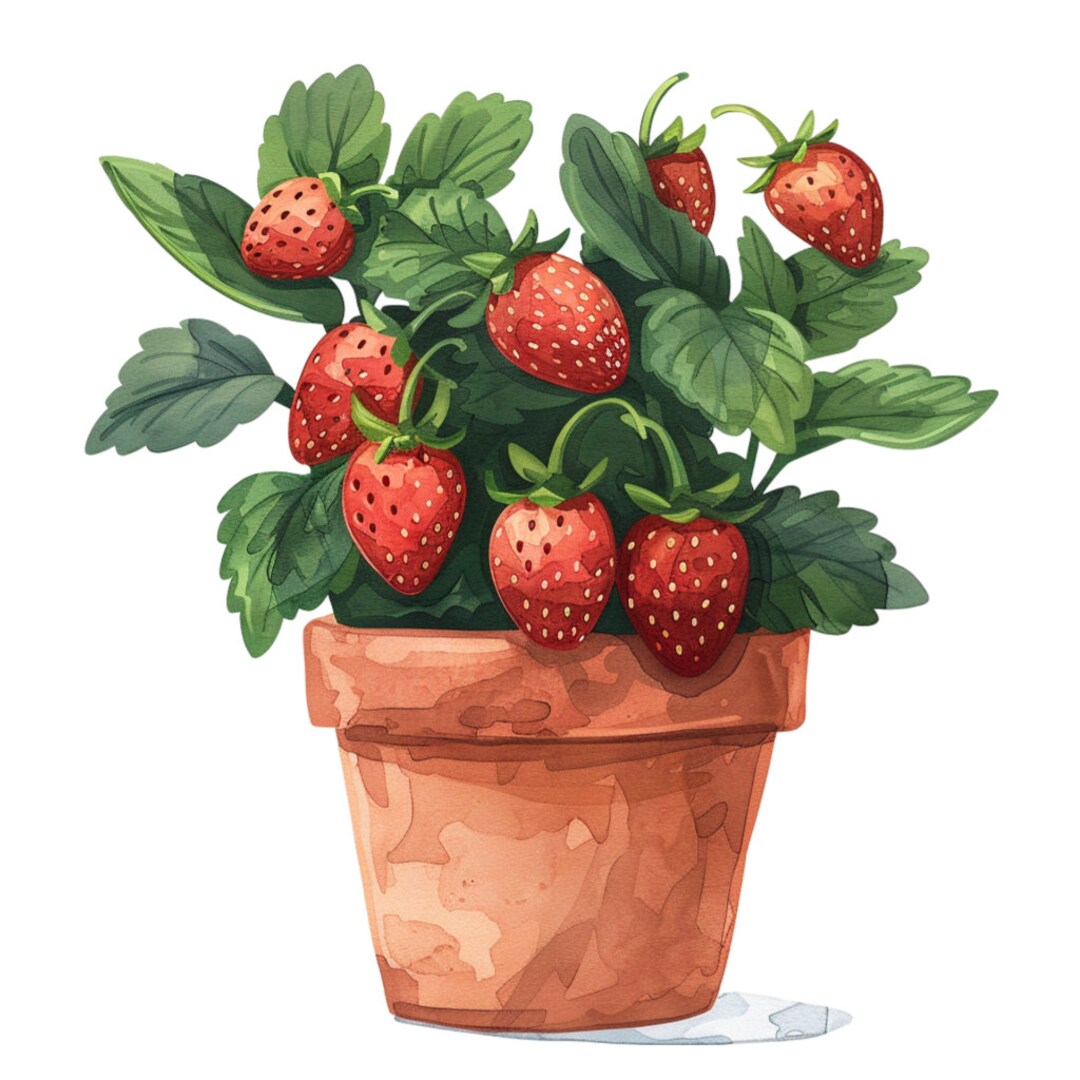 Strawberry in Pots Clipart Bundle, 16 High-quality JPG, Craft Art, Card ...