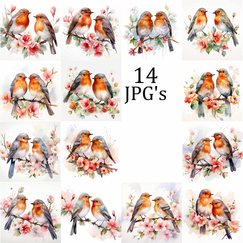 14 Robin Friends Bird Clipart Bundle, High-quality JPG, Nursery Art ...