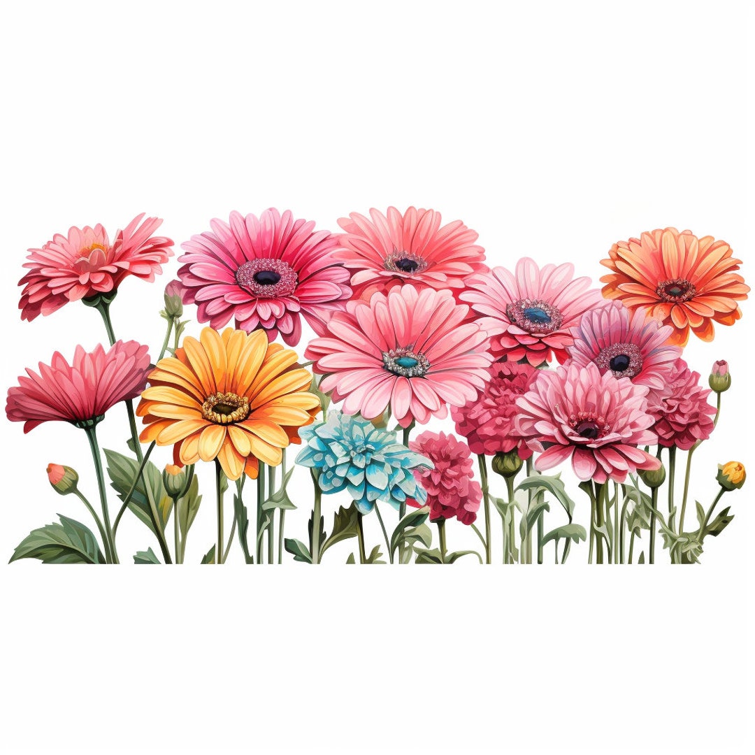 15 Row of Gerbera Daisy Flower Clipart Bundle, High-quality JPG, Craft ...