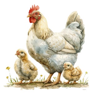 15 Chicken Family Rooster Chick Clipart Bundle, 15 High-quality JPG ...