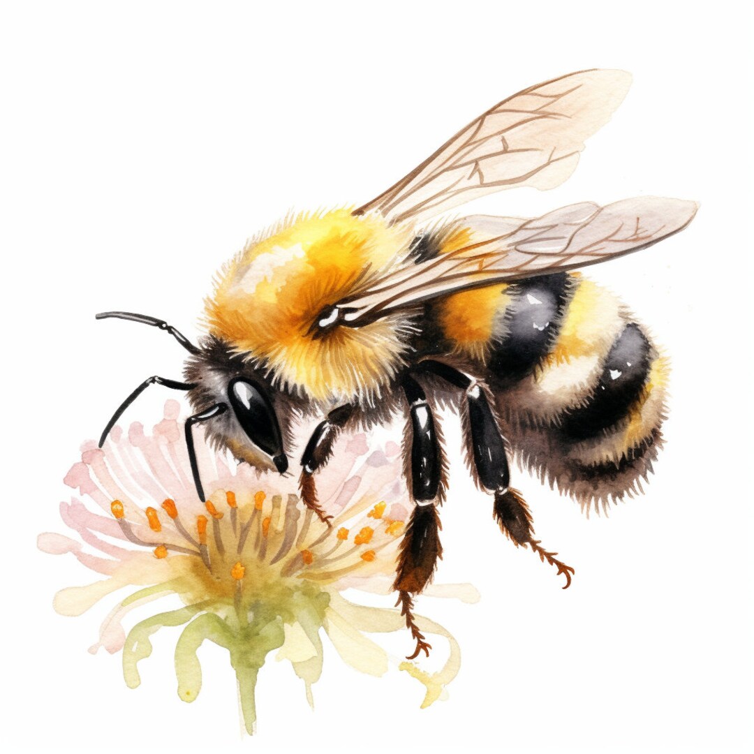 Bumblebee on Flower Clipart Bundle, High-quality JPG, Craft Art, Card ...