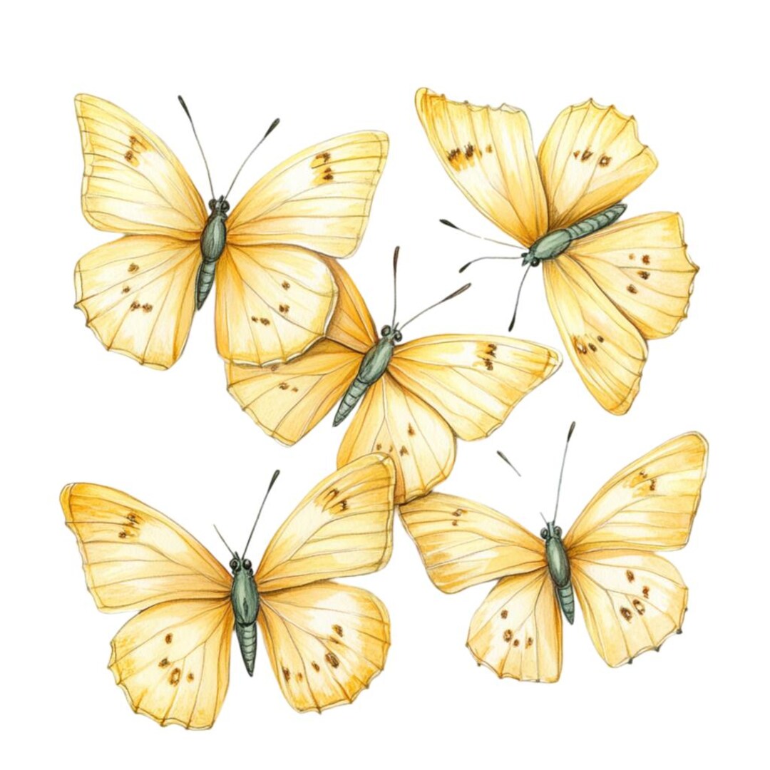 Yellow Butterflies Clipart Bundle, 14 High-quality JPG, Craft Art, Card ...