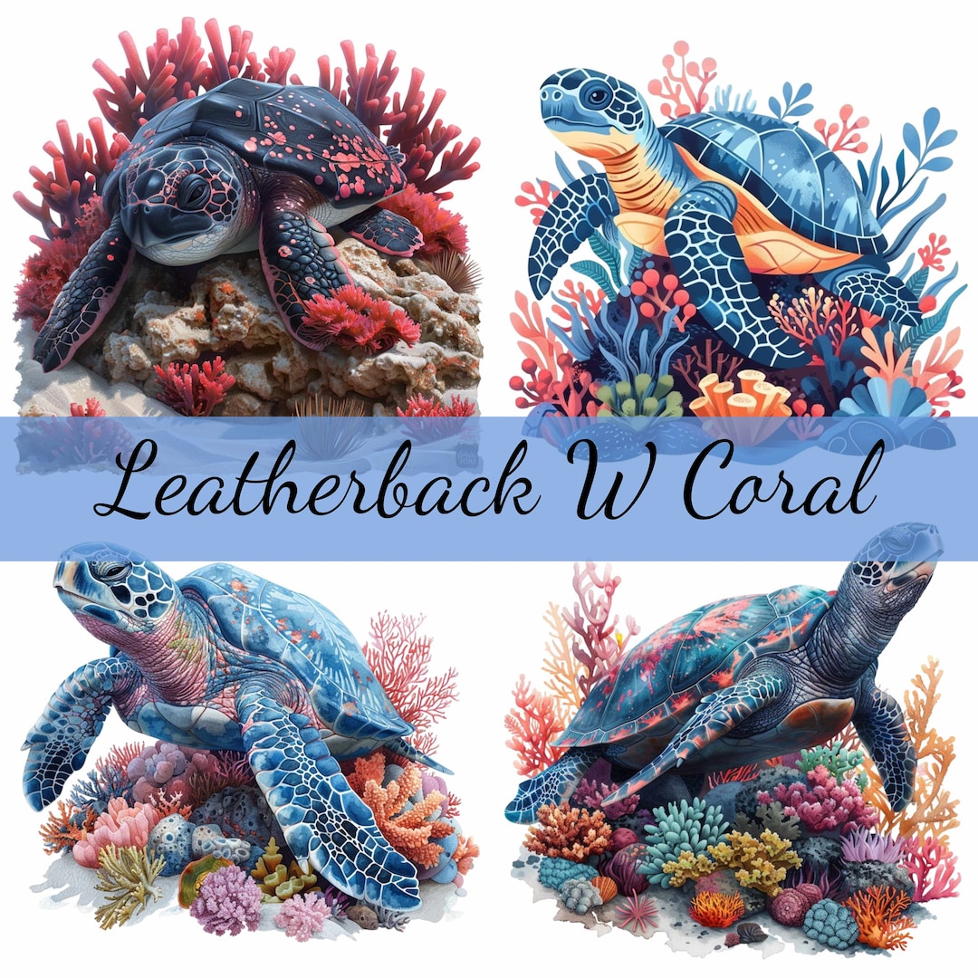 12 Leatherback Sea Turtle in Coral Clipart Bundle, 12 High-quality JPG ...