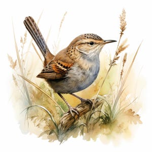 14 Wren Bird in Grass Clipart Bundle, High-quality JPG, Craft Art, Card ...