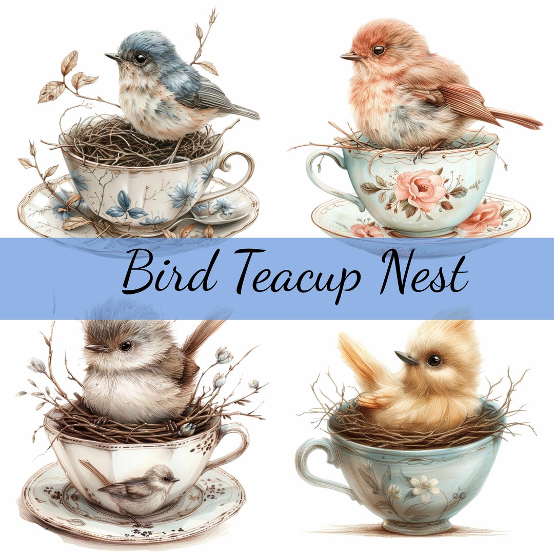 16 Cute Bird in a Tea Cup Nest Clipart Bundle, 16 High-quality JPG ...