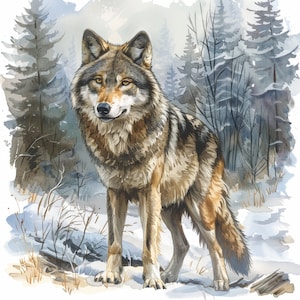 Timber Wolf in the Woods Clipart Bundle, 16 High-quality JPG, Craft Art ...