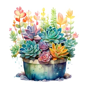 14 Succulents in Pots Clipart Bundle, High-quality JPG, Invitations ...