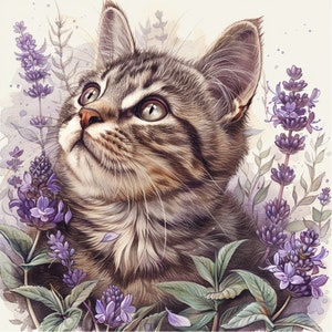 Cat in Purple Catmint Flowers Clipart Bundle, 16 High-quality JPG ...