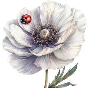 Ladybug on Flowers Clipart Bundle, 16 High-quality JPG, Craft Art, Card ...