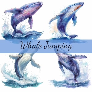 Cute Humpback Whale Jumping Water Clipart Bundle, 16 High-quality JPG ...