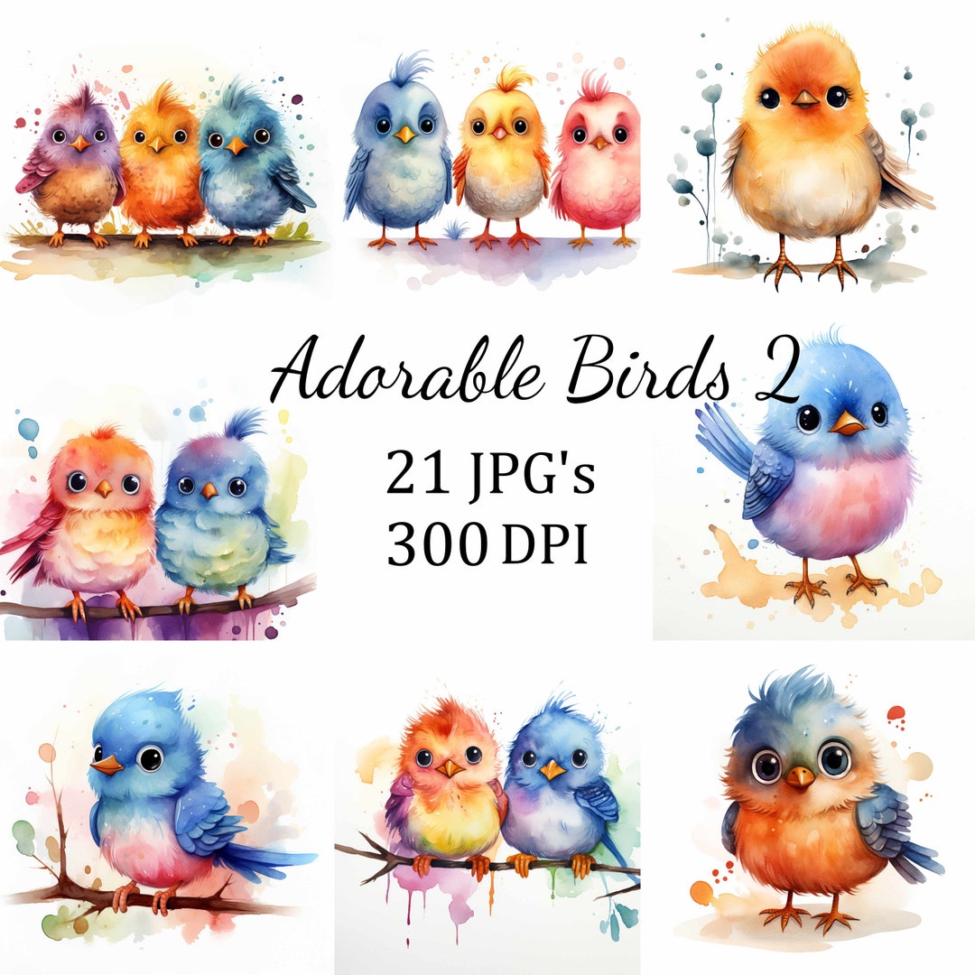 21 Cute Adorable Birds Clipart Bundle, JPG, Card Making, Clip Art ...