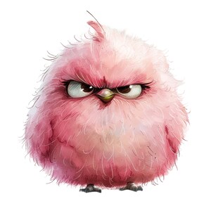 Fluffy Fat Grumpy Bird Clipart Bundle Clipart Bundle, JPG, Card Making ...
