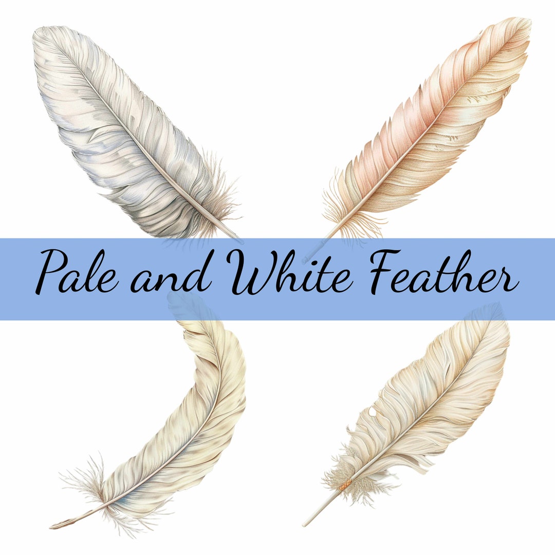 16 Feather White and Pale Clipart Bundle, 16 High-quality JPG, Craft ...