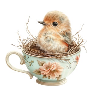 16 Cute Bird in a Tea Cup Nest Clipart Bundle, 16 High-quality JPG ...