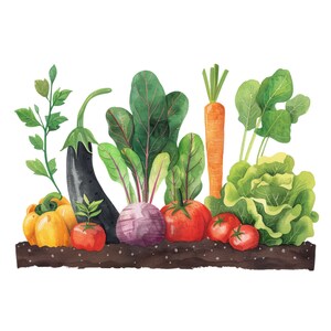 16 Vegetable Garden Clipart Bundle, 16 High-quality JPG, Craft Art ...