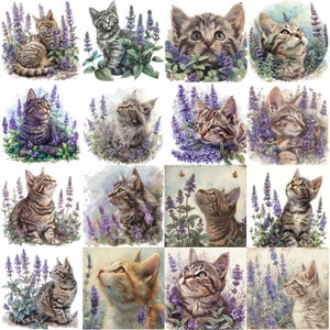 Cat in Purple Catmint Flowers Clipart Bundle, 16 High-quality JPG ...