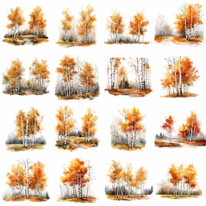 Fall Autumn Birch Trees Clipart Bundle, High-quality JPG, Craft Art ...