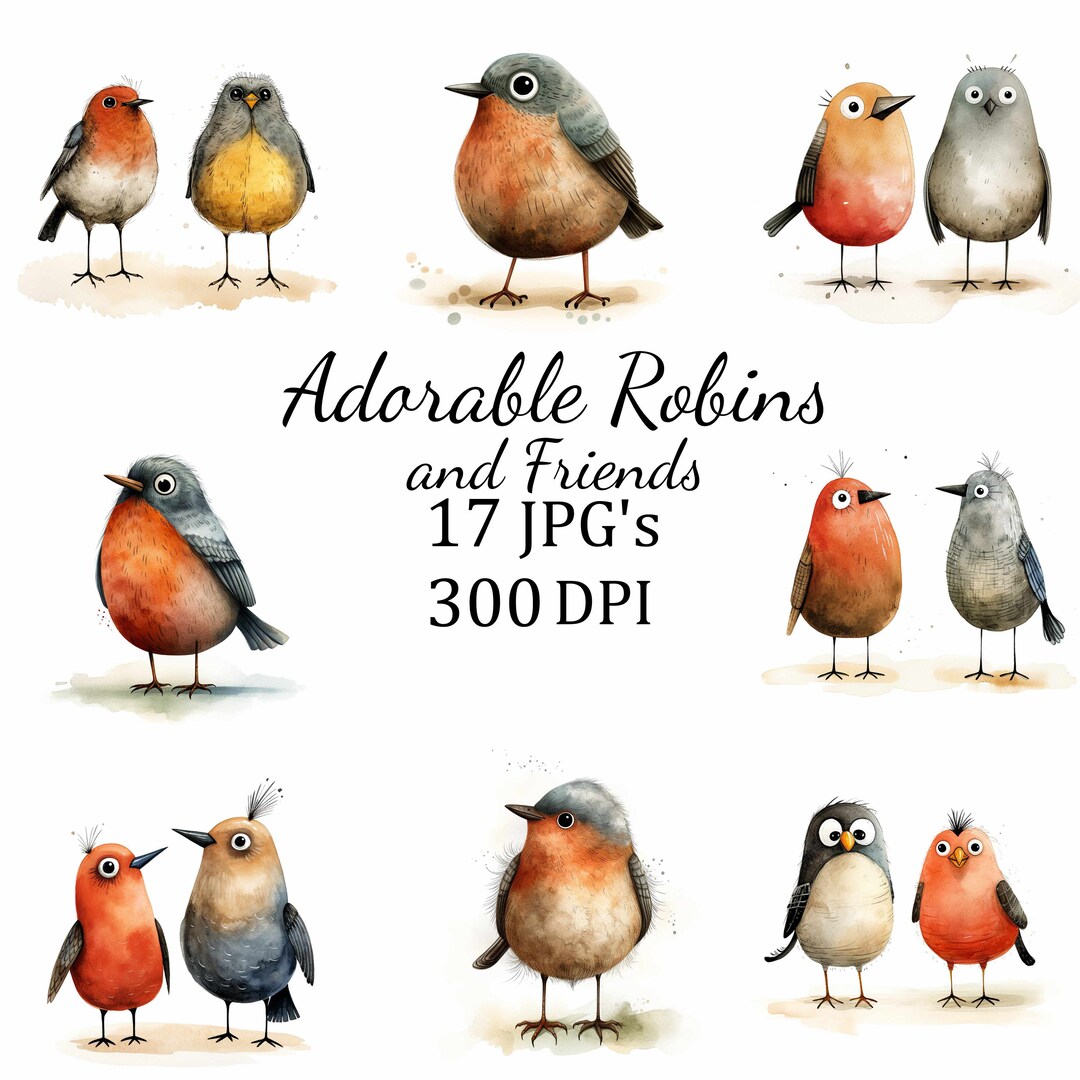 17 Silly Cute Robin Birds and Friends Clipart Bundle, JPG, Card Making ...