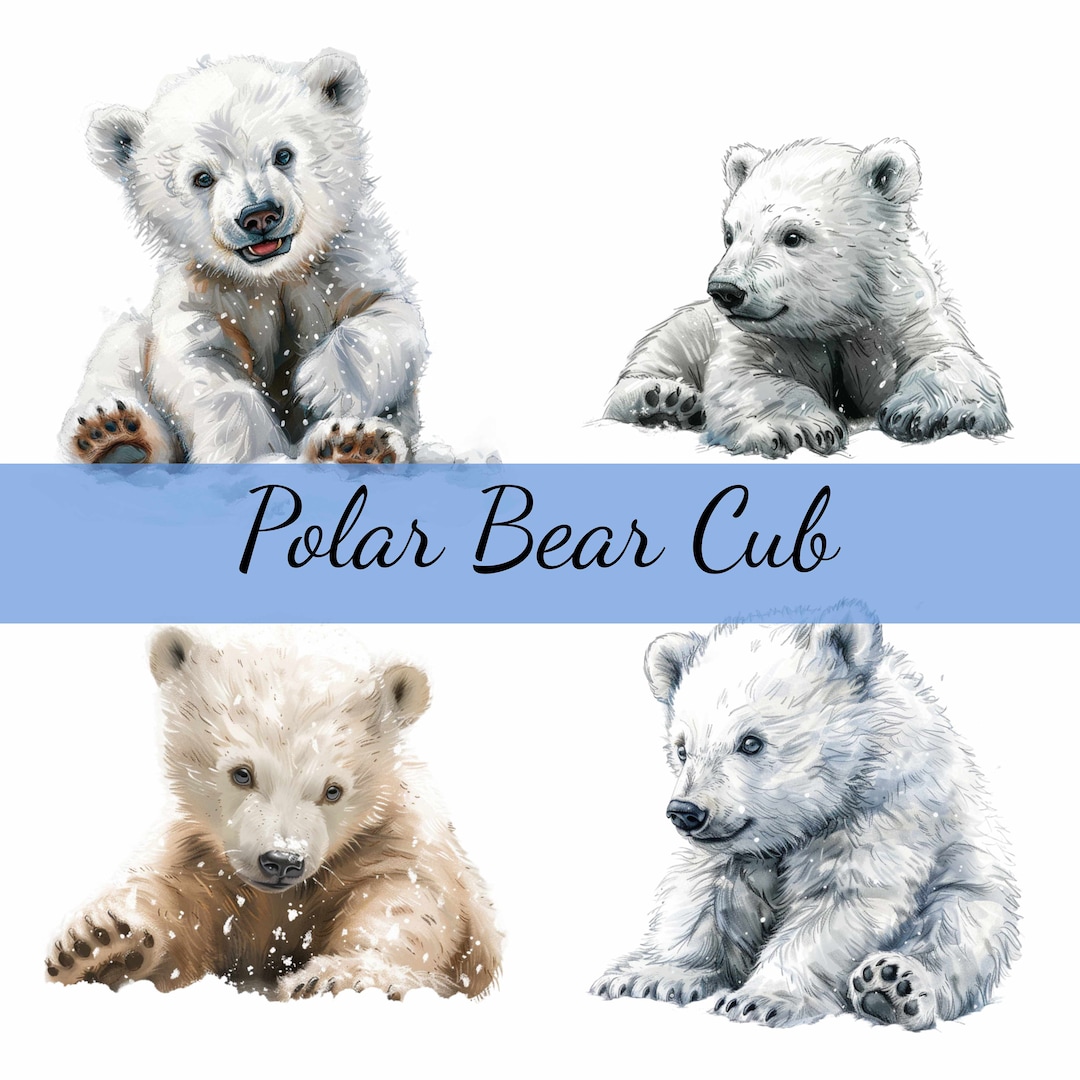Polar Bear Cub in Snow Clipart Bundle, 15 High-quality JPG, Craft Art ...