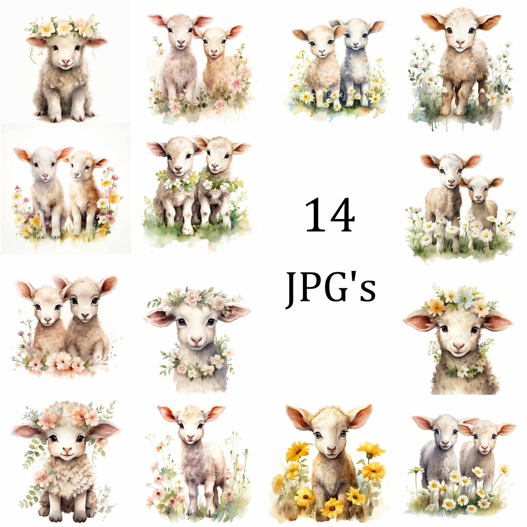 14 Lamb W Flowers Friends Clipart Bundle, High-quality JPG, Nursery Art ...