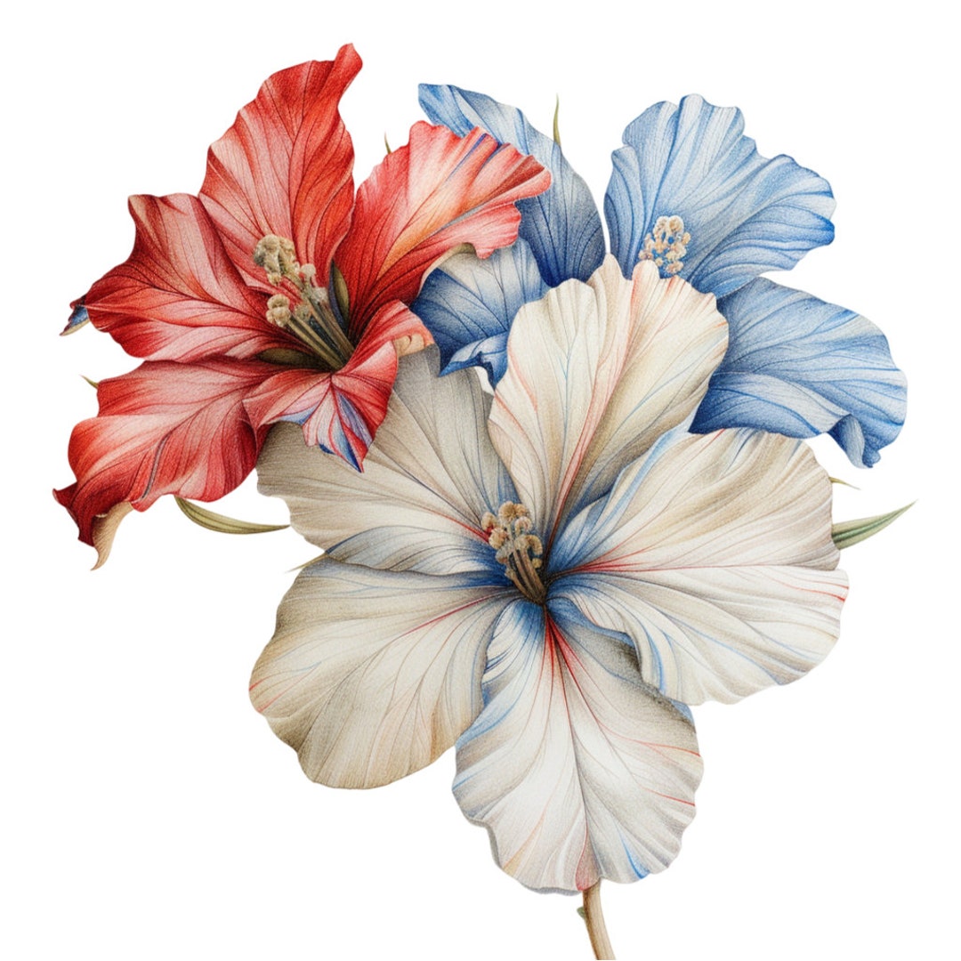 4th Red White Blue Flower Clipart Bundle, 15 High-quality JPG, Craft ...