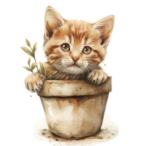 Cute Cat in a Flower Pot Clipart Bundle, 16 High-quality JPG, Craft Art ...