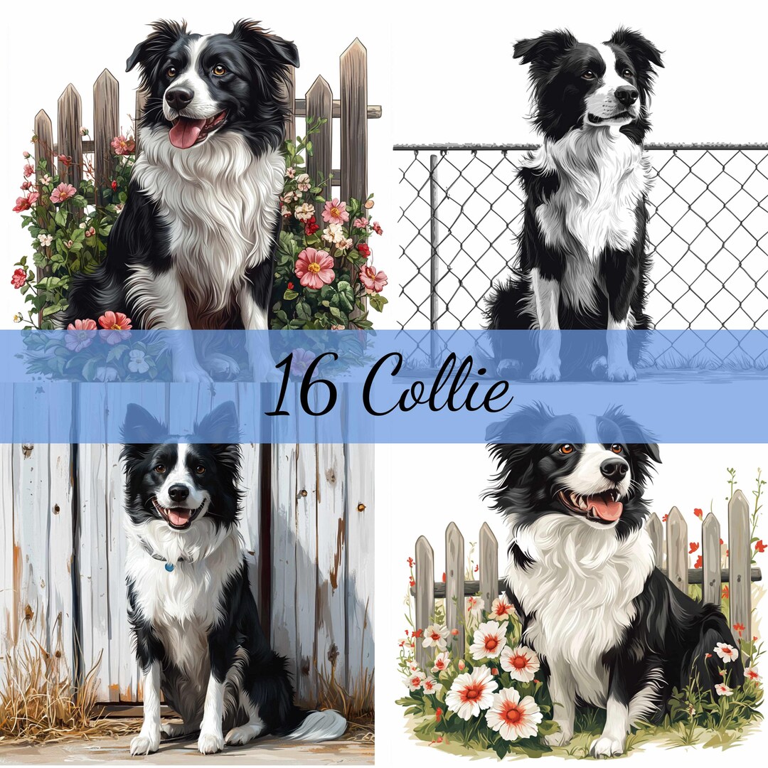 16 Collie at Fence Clipart Bundle, High-quality JPG, Craft Art, Card Making, Clip Art, Digital ...