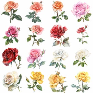 16 Tea Rose Flower Clipart Bundle, 16 High-quality JPG, Craft Art, Card ...