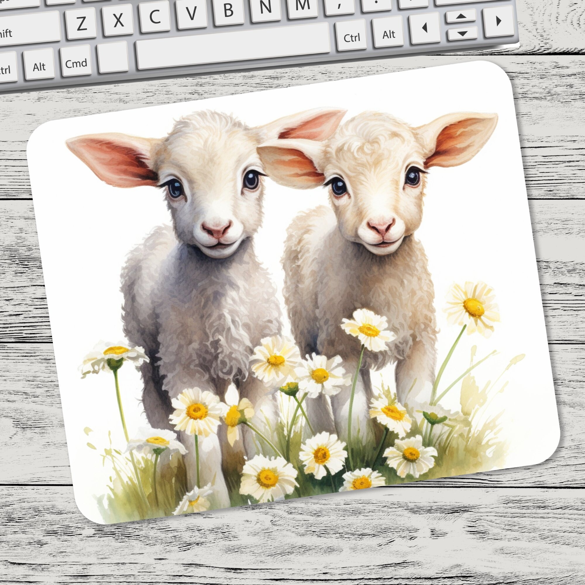 14 Lamb W Flowers Friends Clipart Bundle High-quality JPG - Etsy